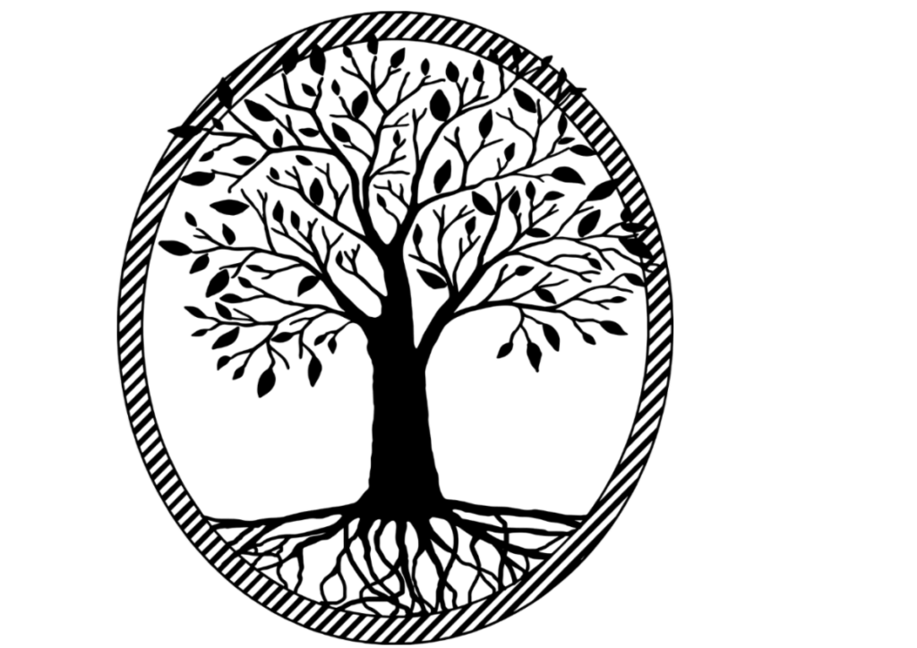 Going Back To Your Roots Top Tips For Family Tree Research
